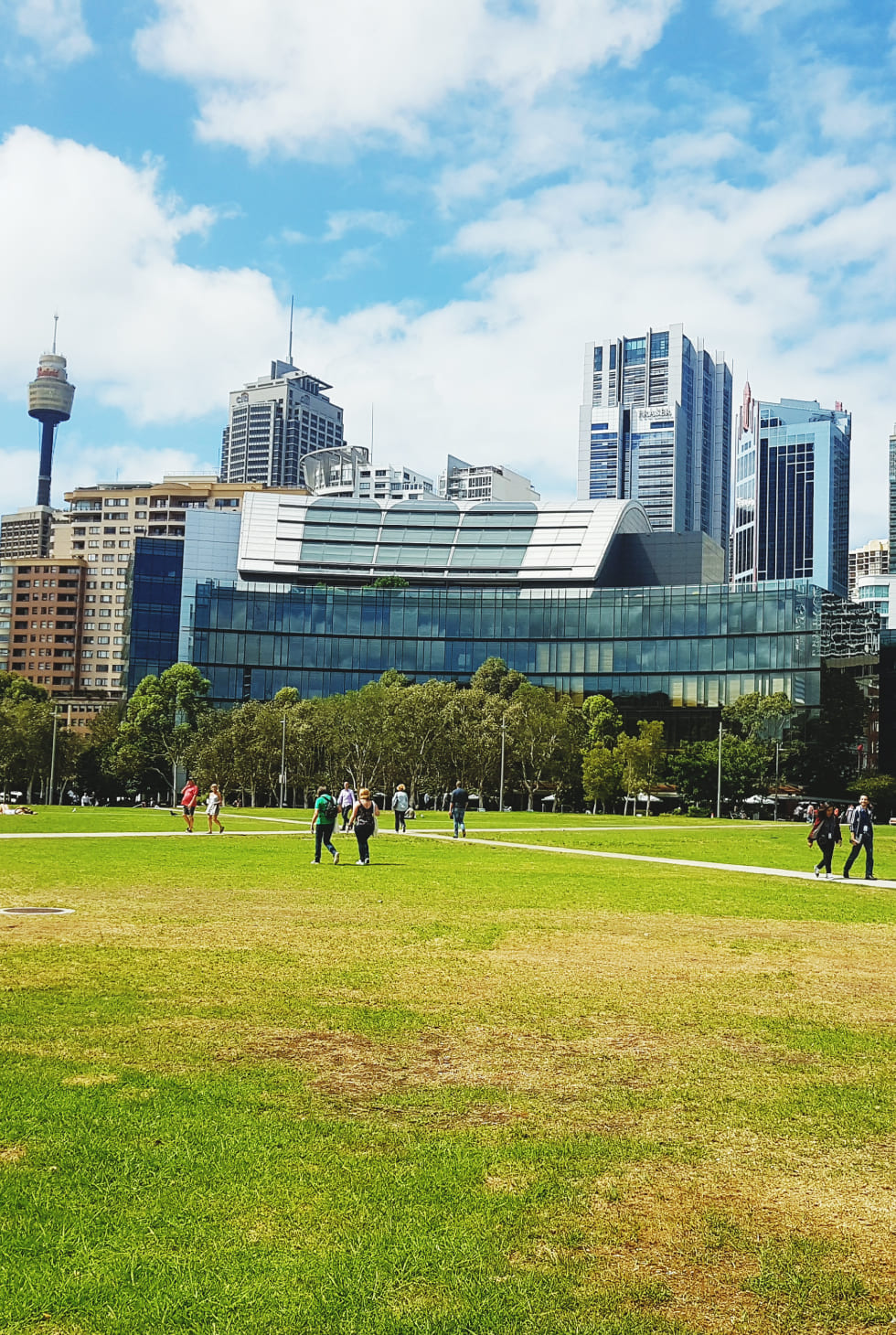 Canberra | Oolloo education