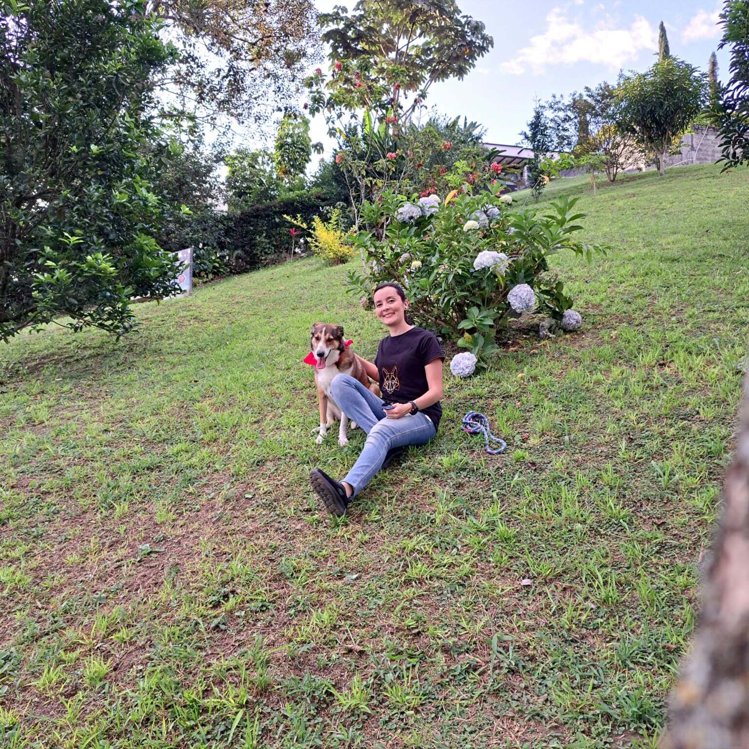 Inicio | Oolloo education